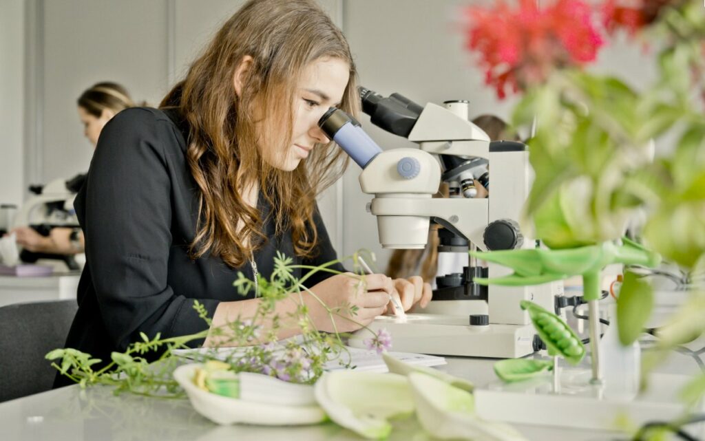 System rekrutacyjny UMCS - UMCS Rekrutacja